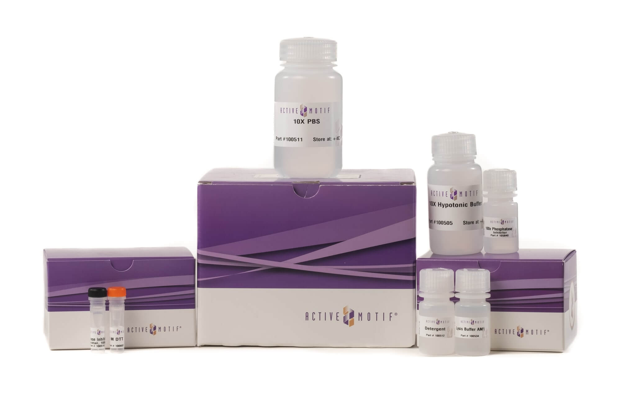 Nuclear Extract Kit – 알앤디메이트